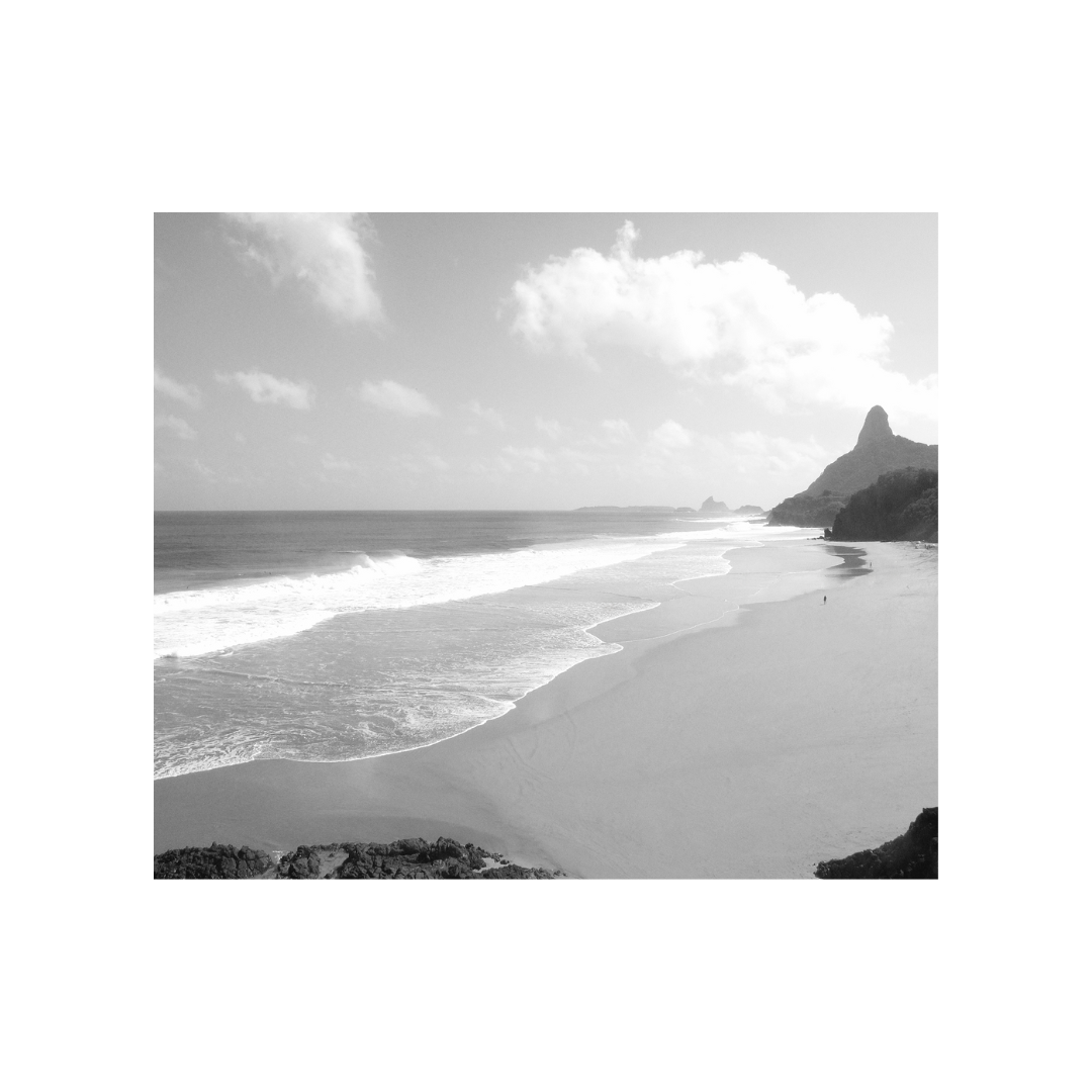 "Fernando De Norohna" by Frederic Pinet | in B&W – mrs.mandolin